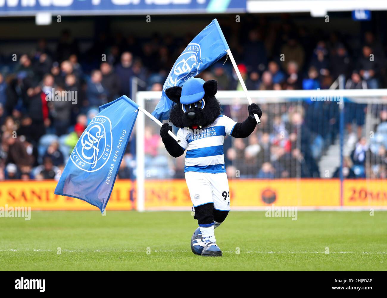 Queens Park Rangers mascot Jude The Cat on the pitch ahead of the Sky ...