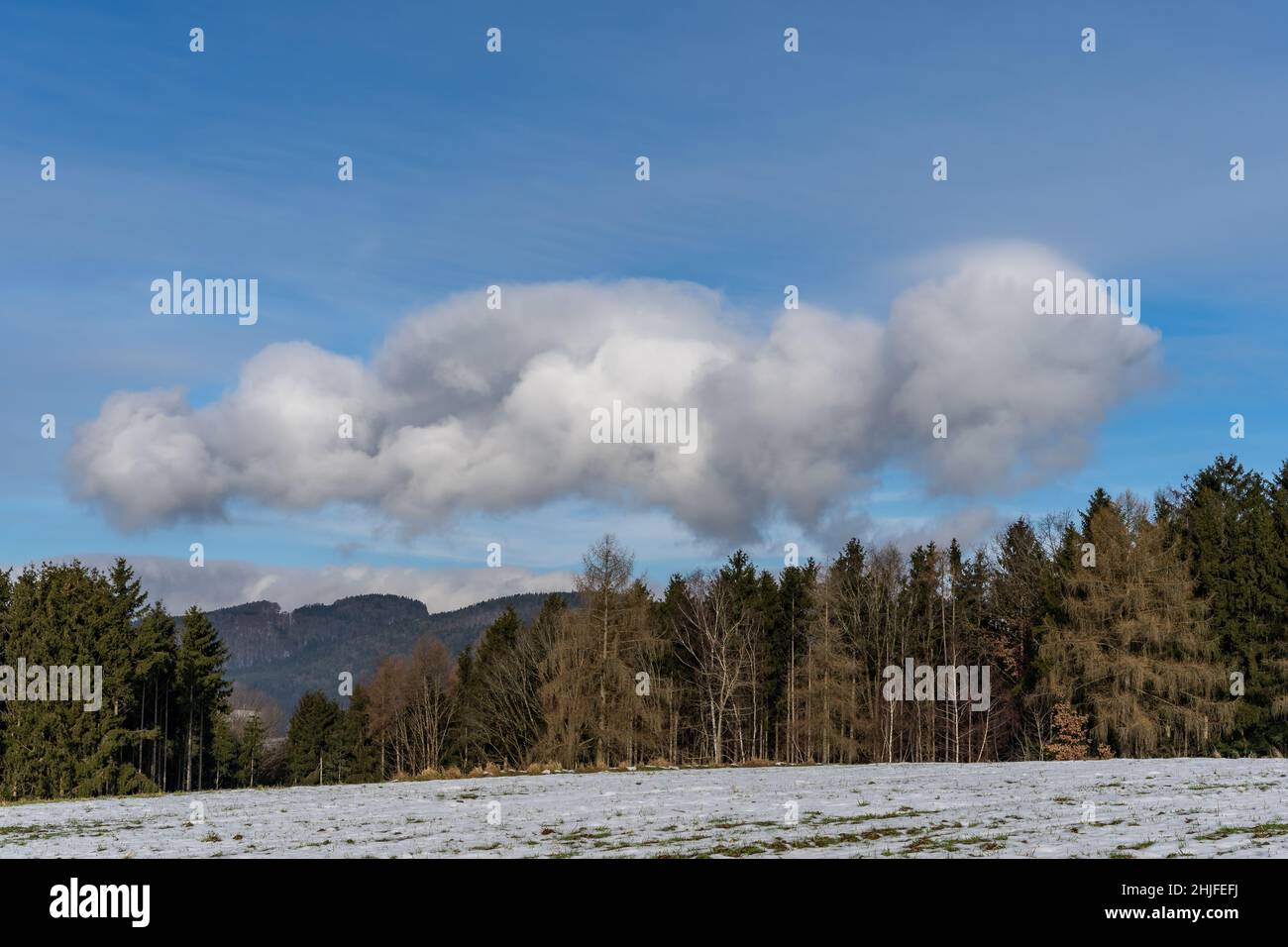 Beautiful winter landscape with snow covered trees in fog. Harsh winter ...