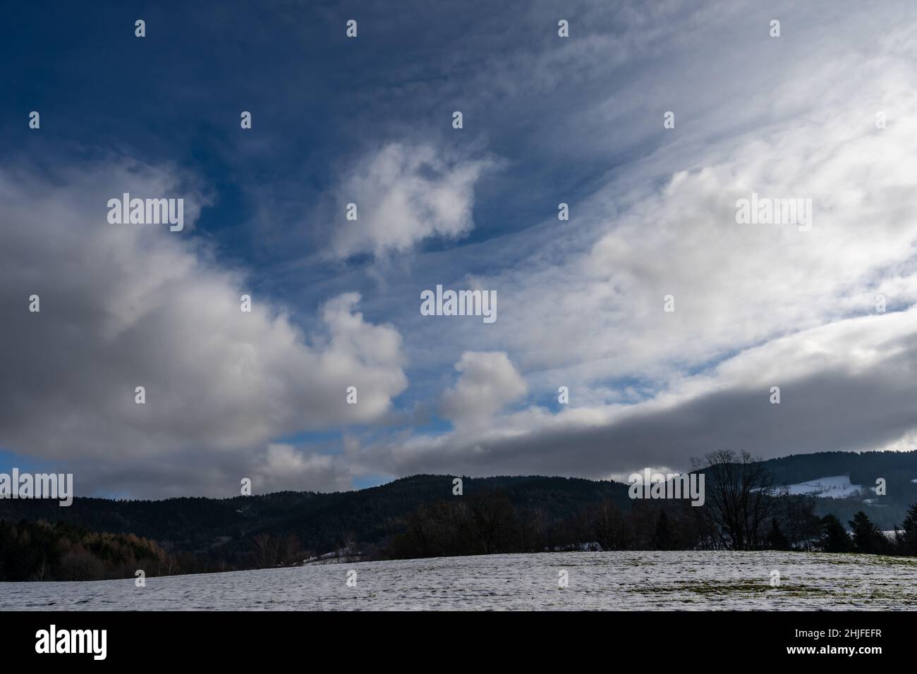 Beautiful winter landscape with snow covered trees in fog. Harsh winter ...