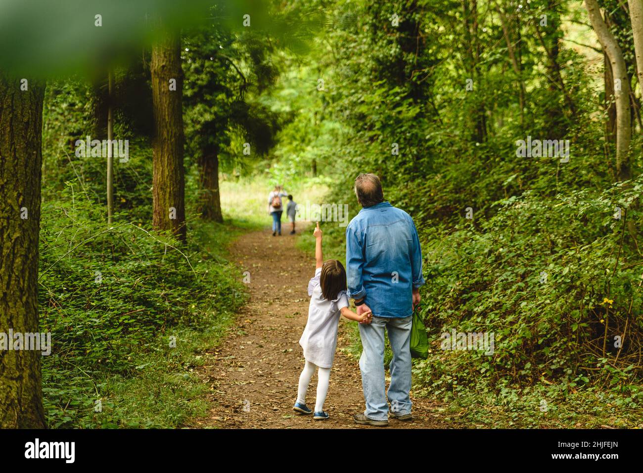 Girl pointing tree to grandfather while walking together on a path ...