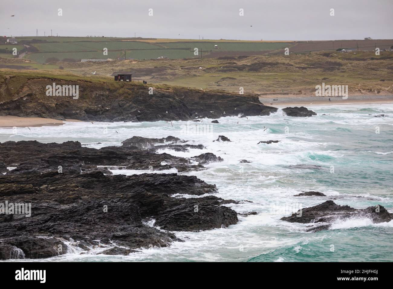 Mutton cove godrevy hi-res stock photography and images - Alamy