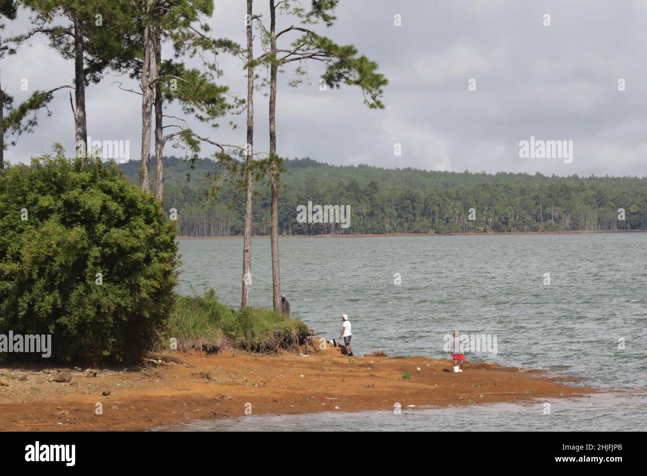 Mare aux Vacoas is the largest reservoir in Mauritius. It is located in ...