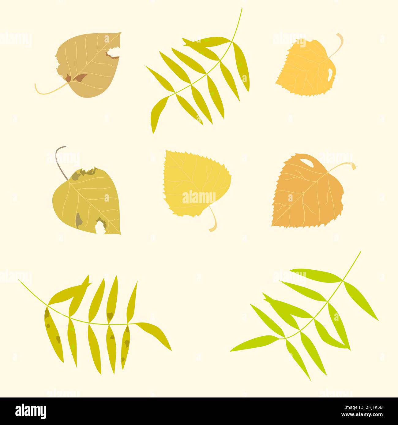 Green yellow leaves dry Stock Vector Images - Alamy