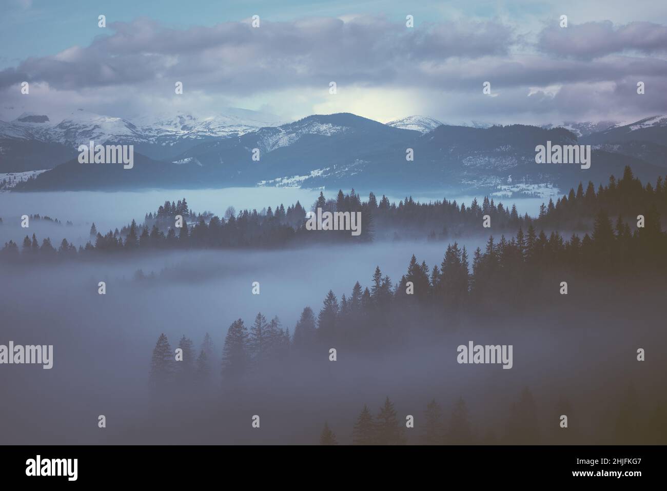 Low contrast hi-res stock photography and images - Alamy