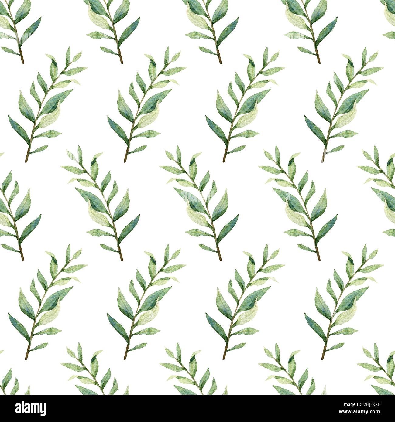Watercolor greenery seamless pattern, floral texture on white Stock ...