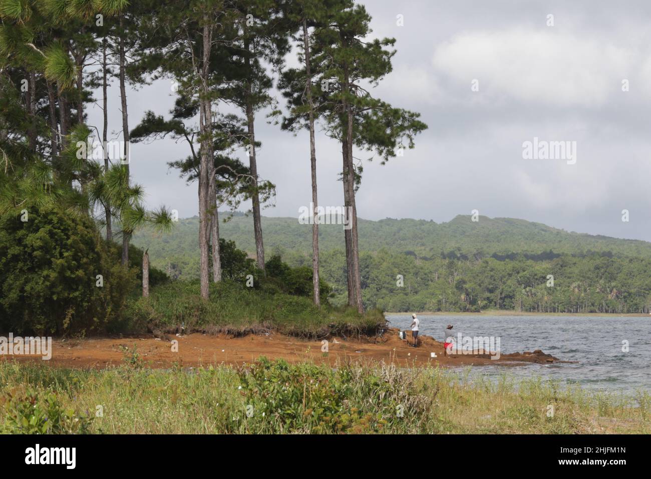 Mare aux Vacoas is the largest reservoir in Mauritius. It is located in ...