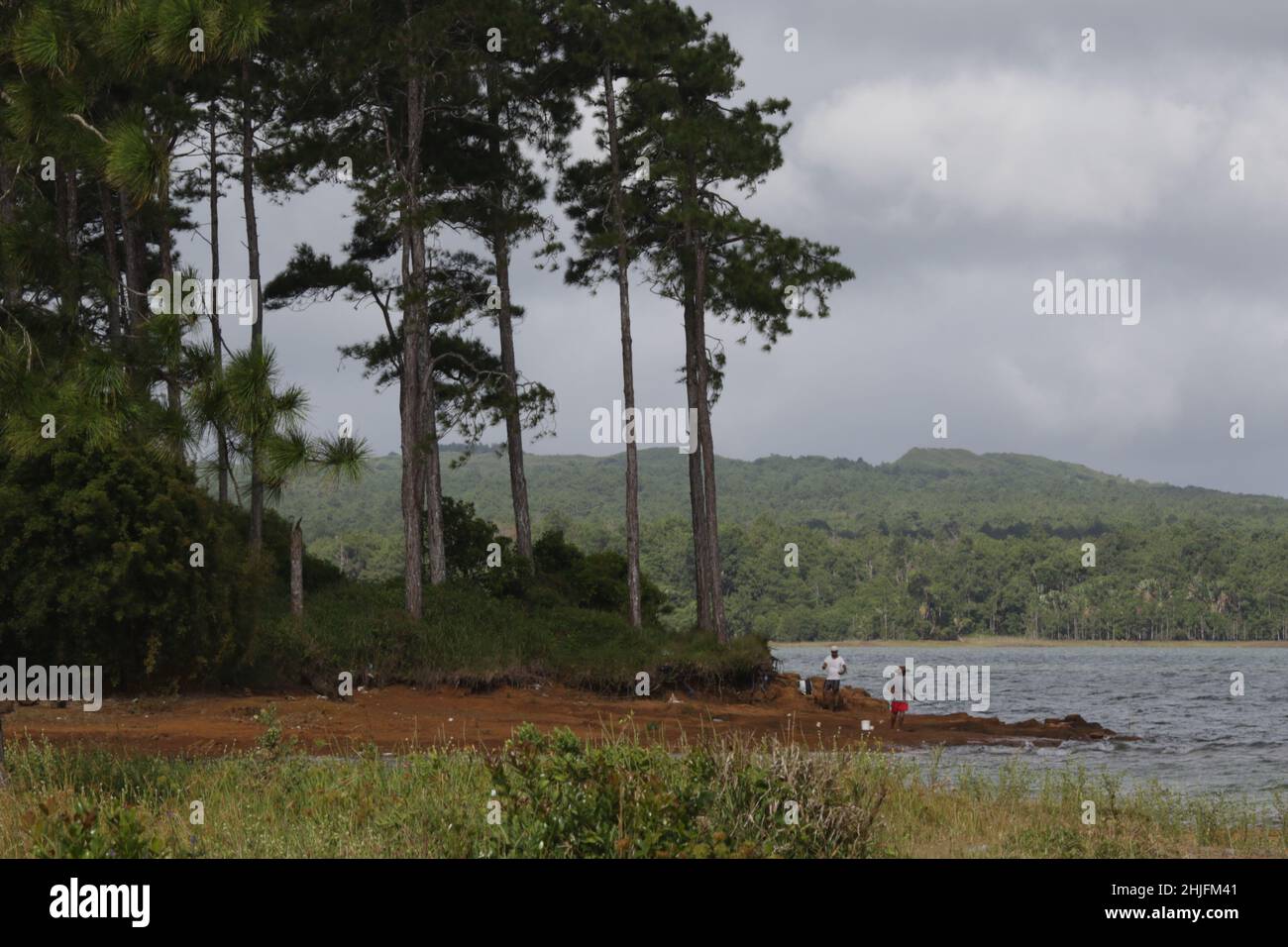Mare aux Vacoas is the largest reservoir in Mauritius. It is located in ...