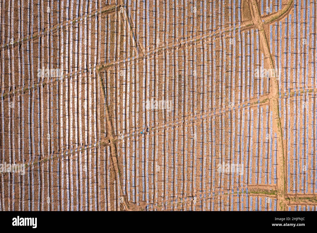 Farmland plots hi-res stock photography and images - Alamy