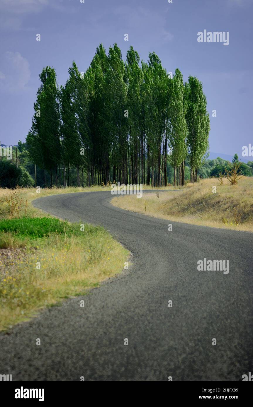 winding road travel and trees in country Turkey Stock Photo - Alamy