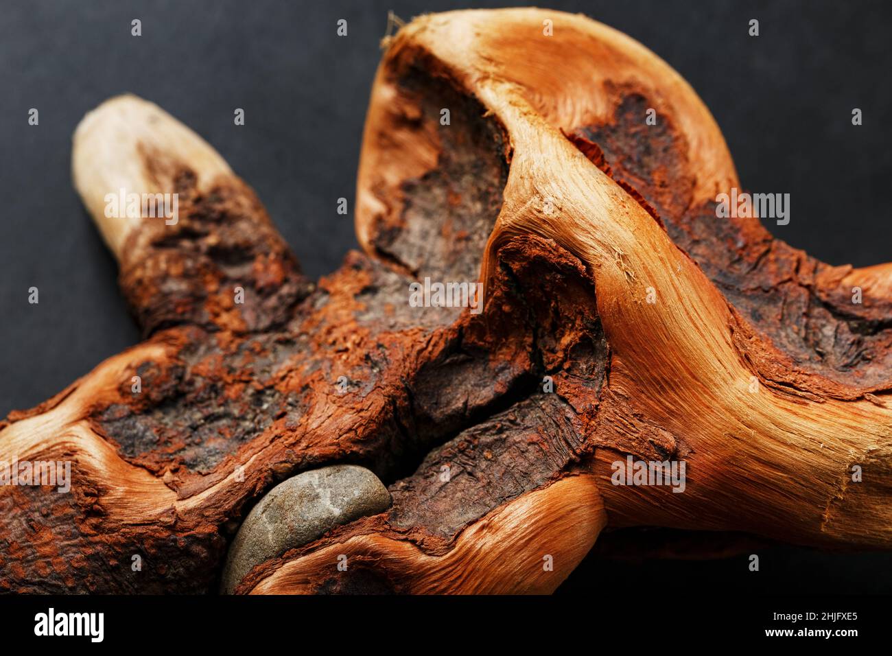 Textured curved Wooden snag of brown color with texture on a black ...