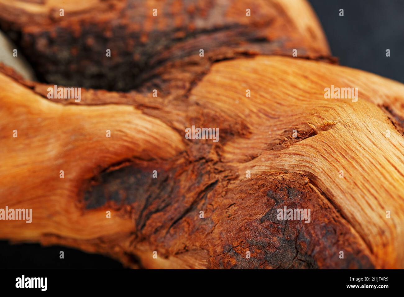 Textured curved Wooden snag of brown color with texture on a black ...
