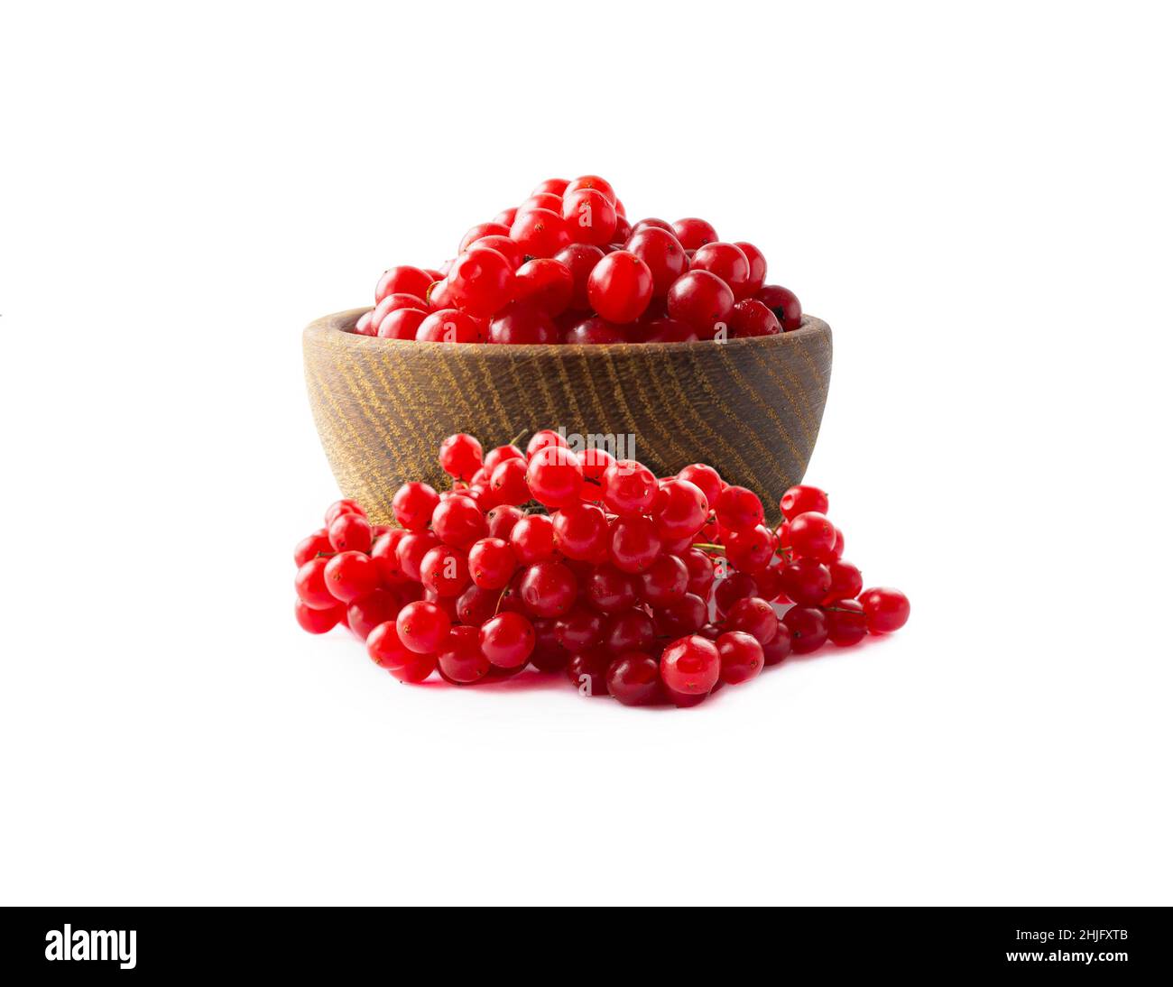 Berries viburnum in a bowl. Viburnum isolated on white background ...
