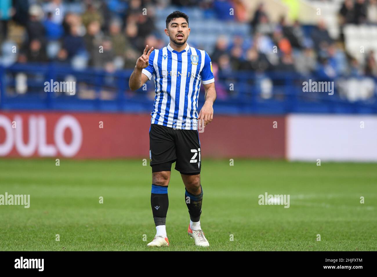 Massimo Luongo #21 of Sheffield Wednesday in action during the game ...