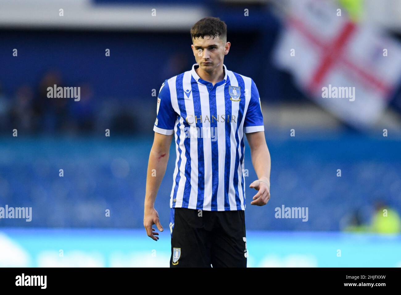 Jordan Storey #38 of Sheffield Wednesday in action during the game ...
