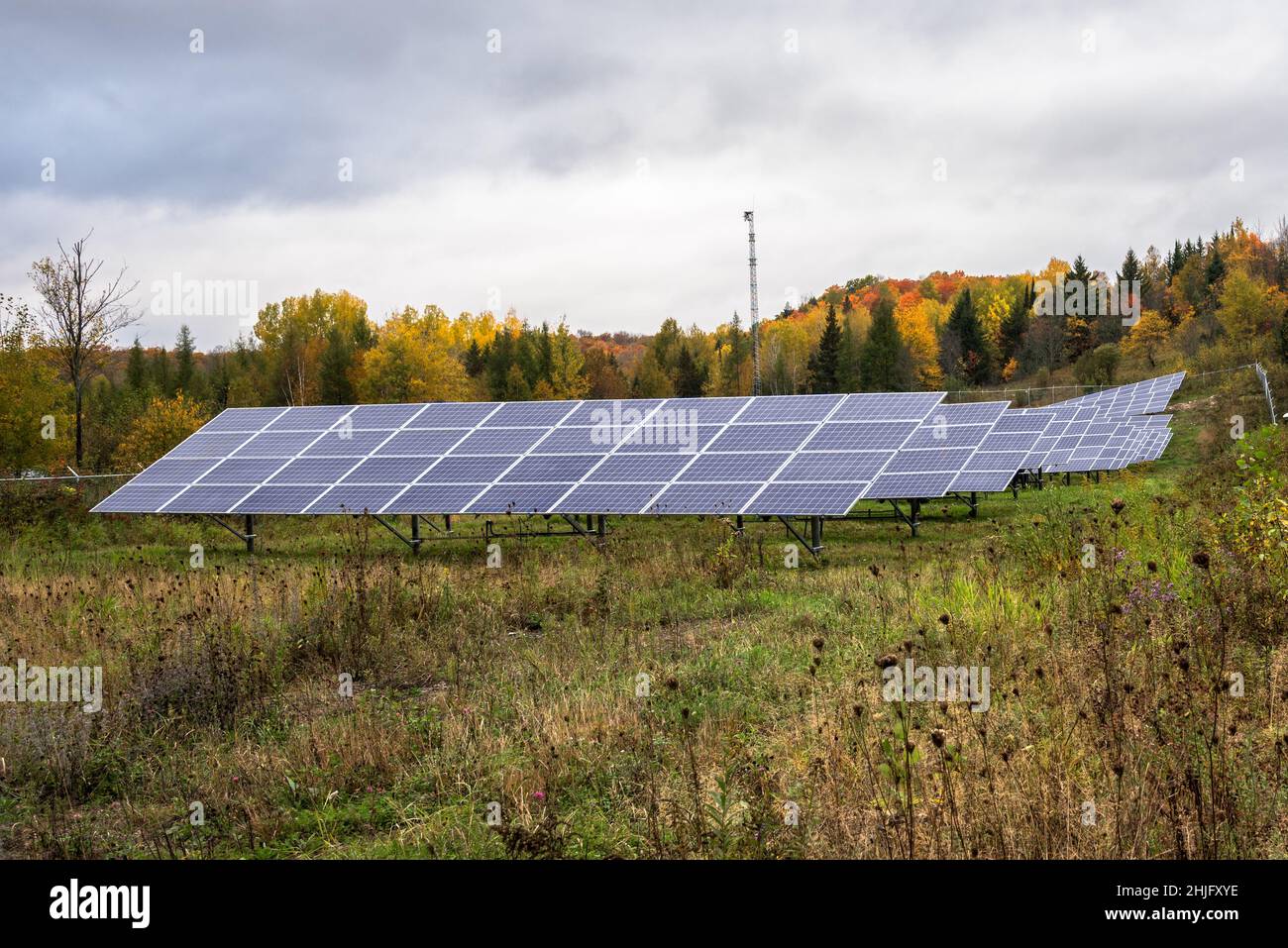 Solar panels in a forest clearing on a cloudy autumn day. Fall foliage ...