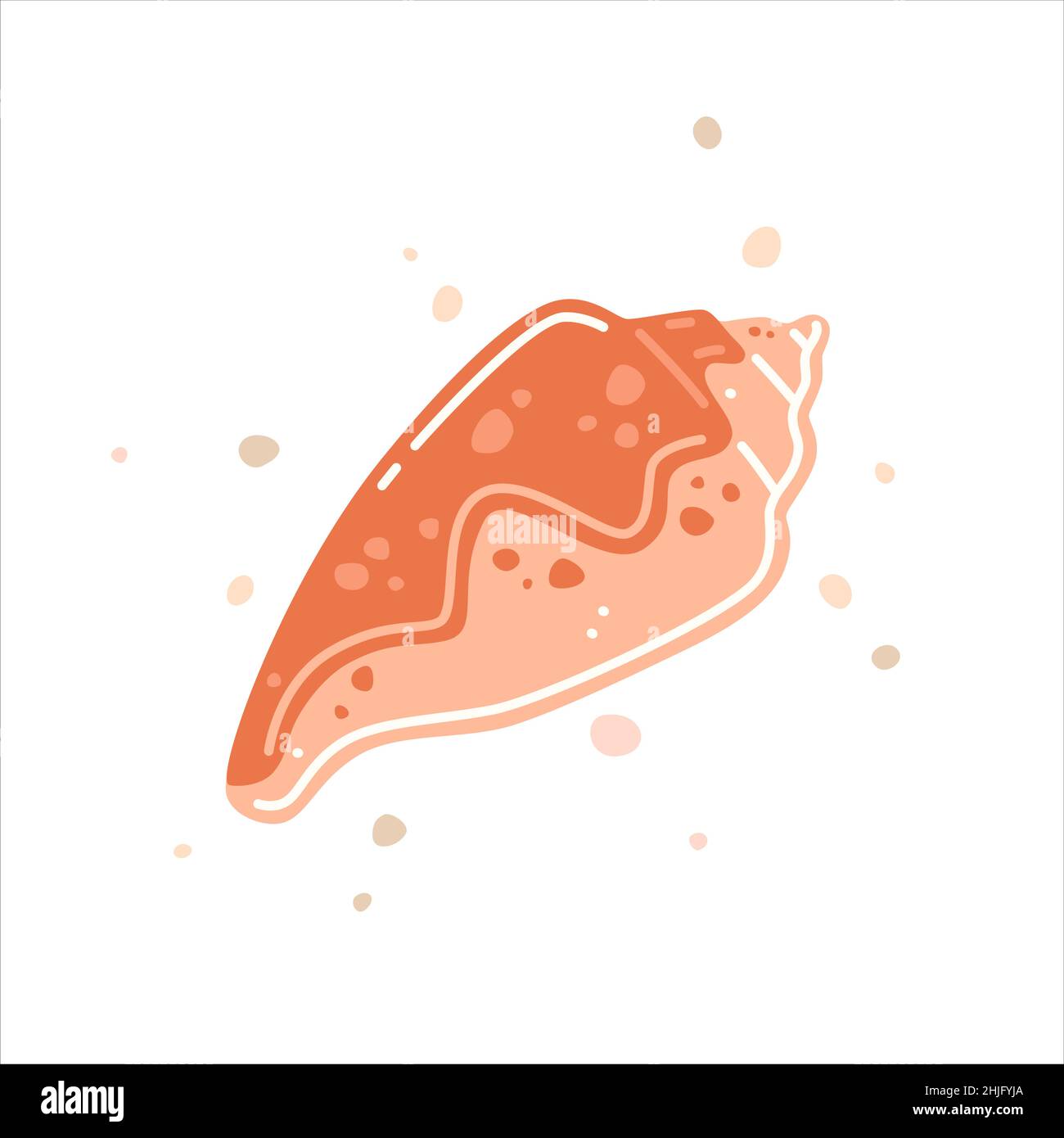 Pink spotted seashell, cone shell (conidae). Vector flat illustration ...