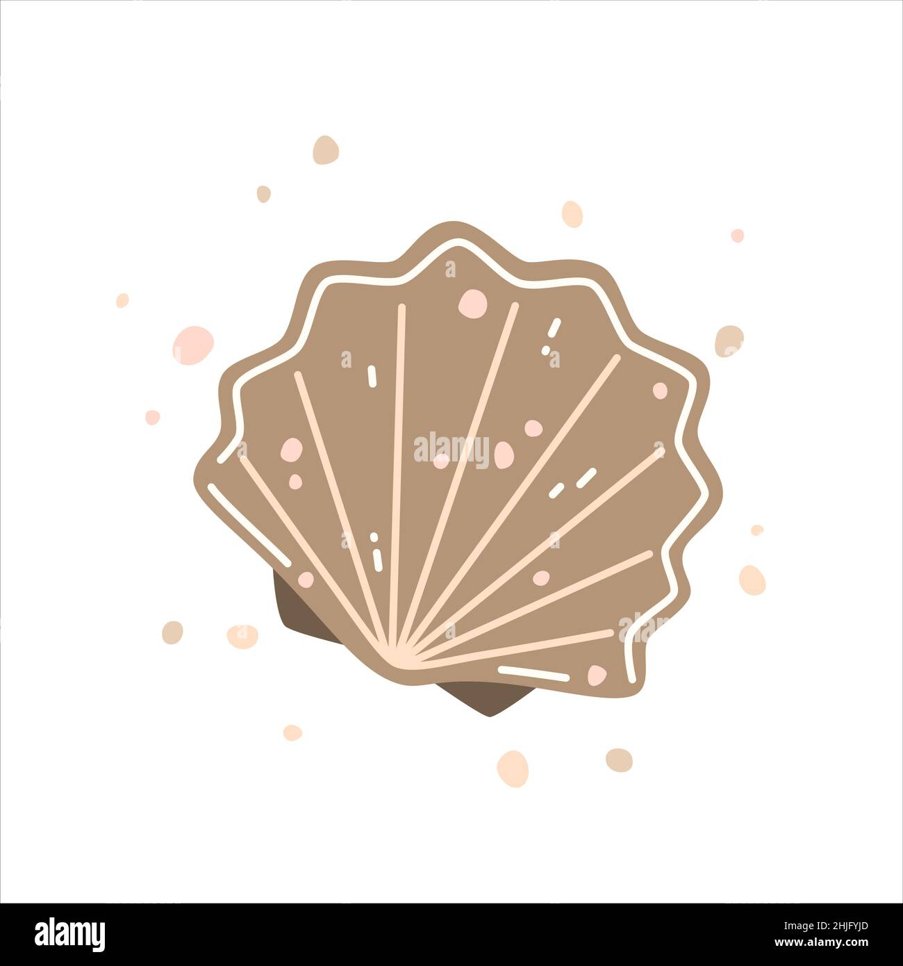 Brown sea shell, scallop. Vector flat illustration Stock Vector Image ...