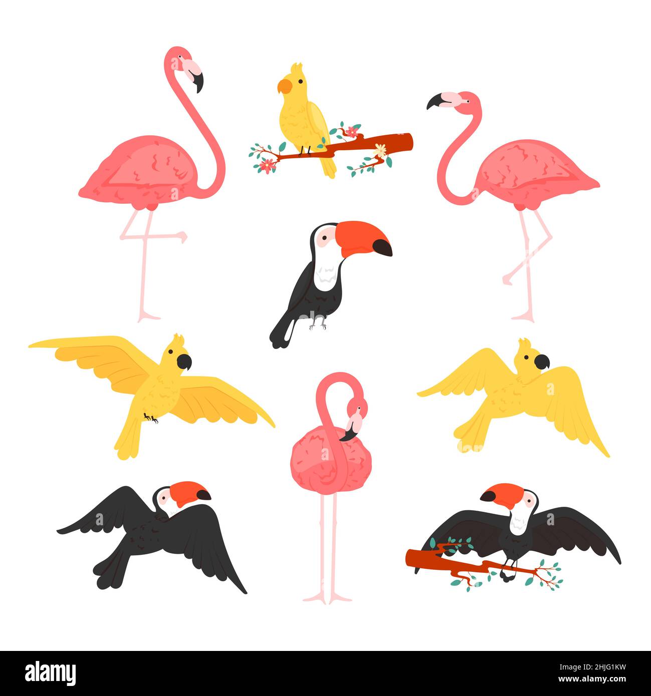 Ara kakadu Stock Vector Images - Alamy