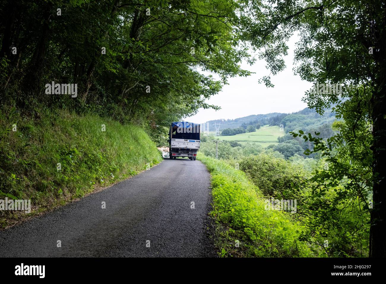 rural road through the forest, Basque Country, Andoain, Spain Stock ...