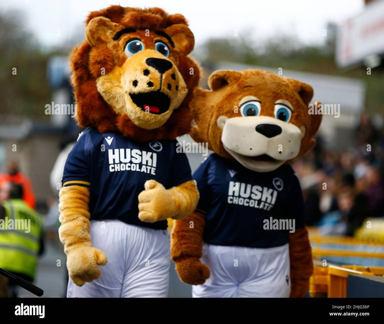 Millwall mascot hi-res stock photography and images - Alamy