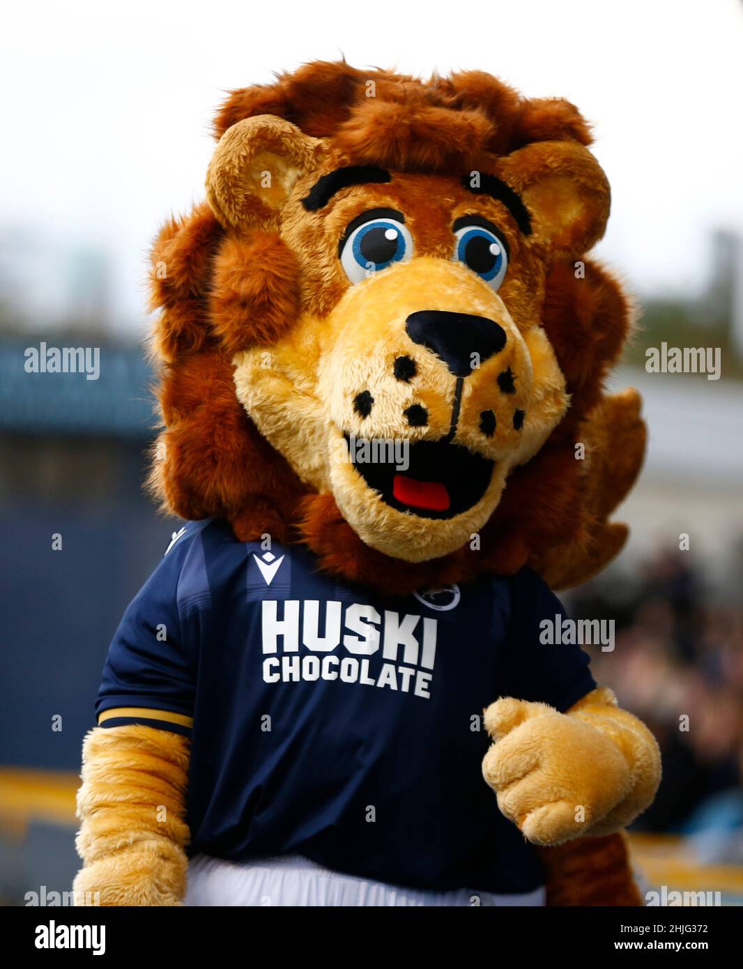 Millwall mascot hi-res stock photography and images - Alamy