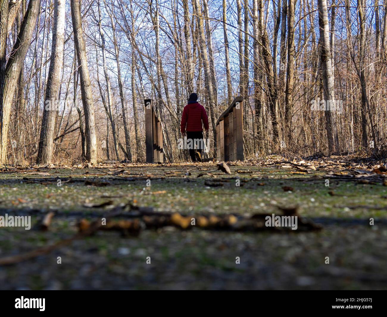 back to back person walking on wooden bridge in the woods Stock Photo ...