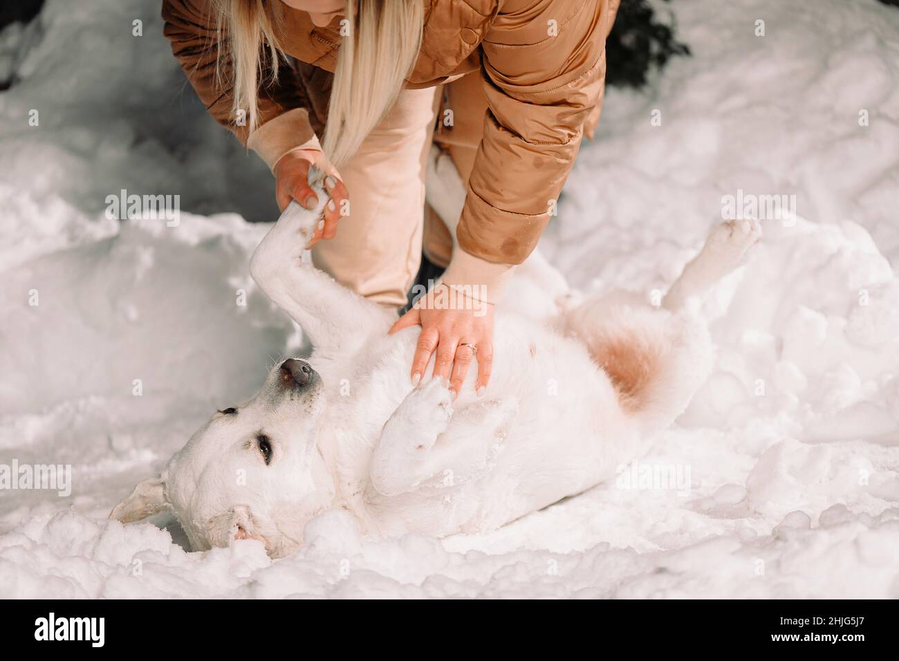 Cropped photo of a woman dog owner in winter clothes playing with her ...