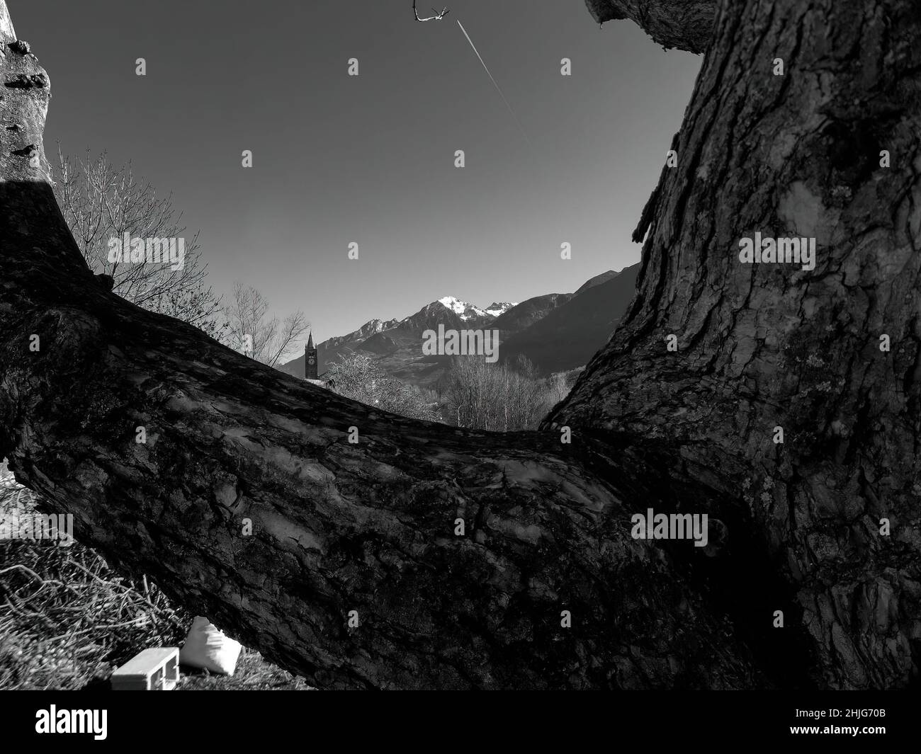 landscape through the branches of a tree that frame Stock Photo - Alamy
