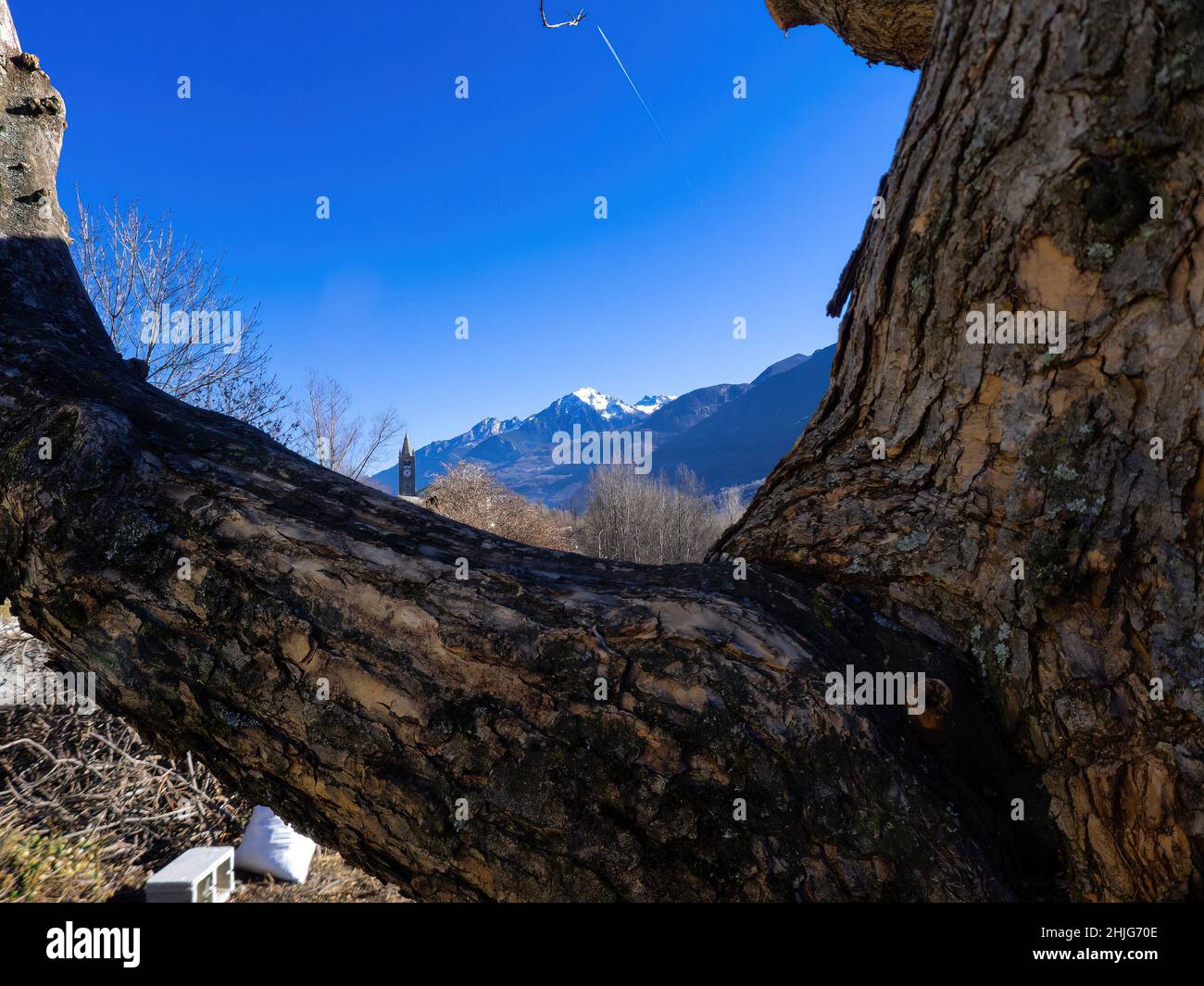 landscape through the branches of a tree that frame Stock Photo - Alamy
