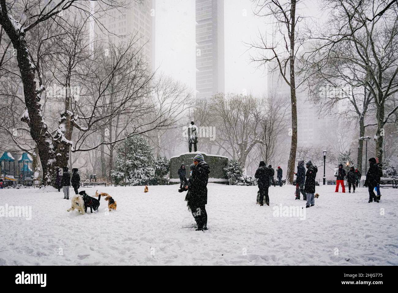 Dogs running, enjoying the snow in Madison Square Park, New York ...