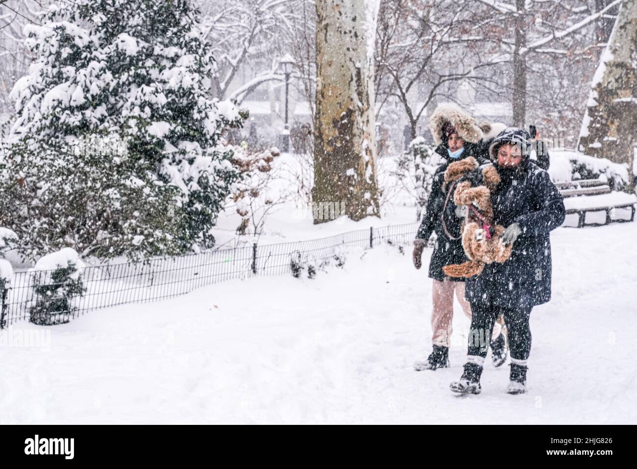 Facing madison square park hi-res stock photography and images - Alamy