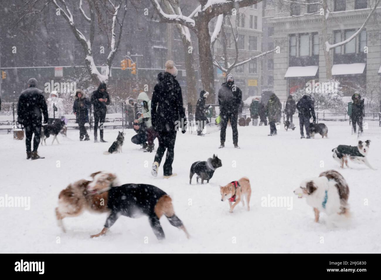 Facing madison square park hi-res stock photography and images - Alamy