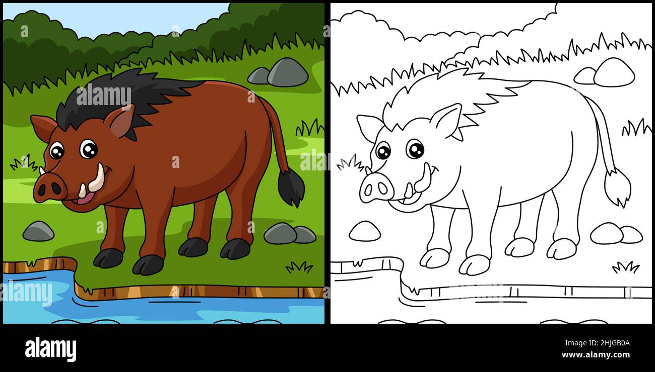 Warthog Drawing For Kids
