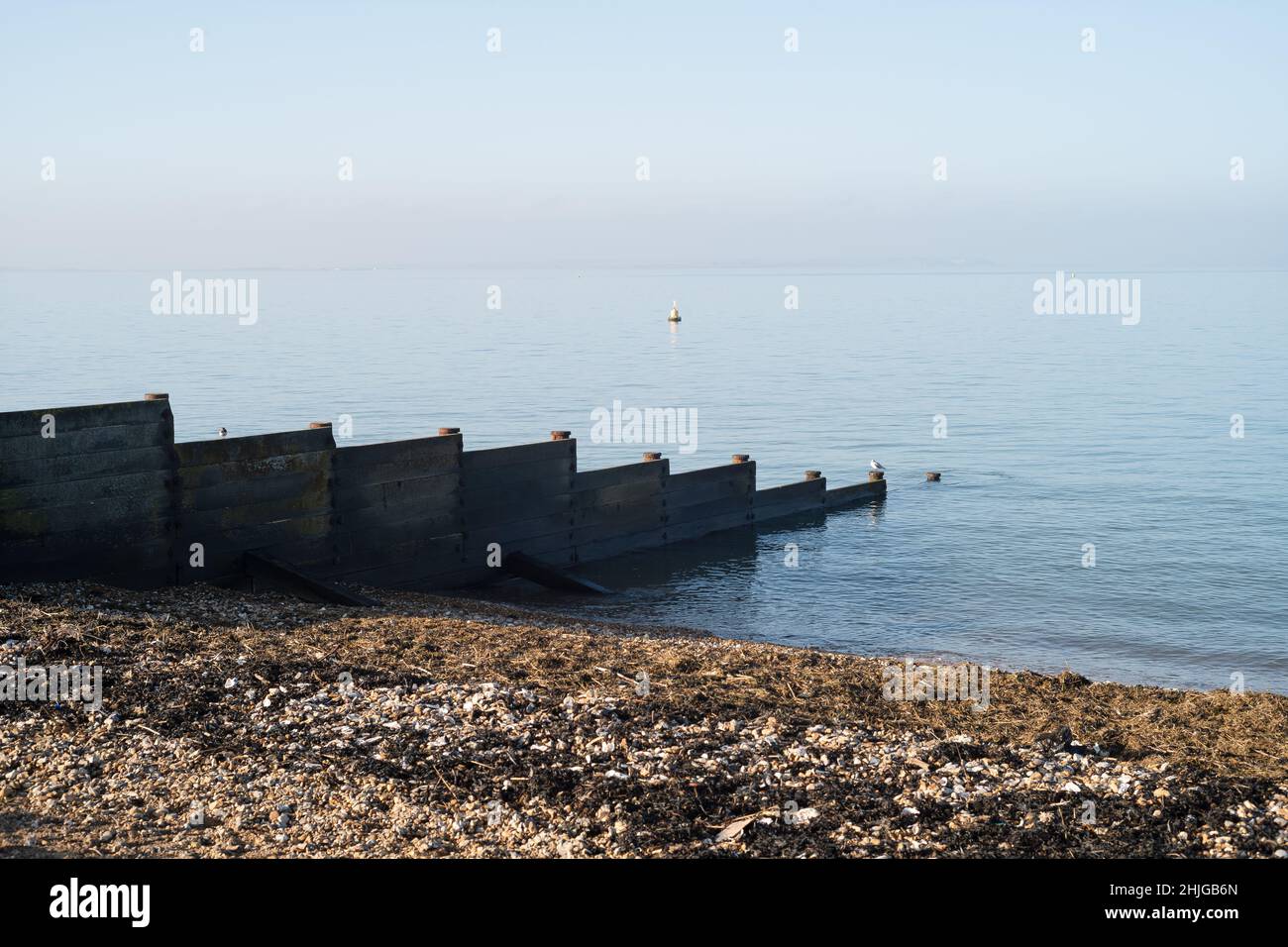 Wooden groyne water breakers on a pebble beach in Whitstable on a ...