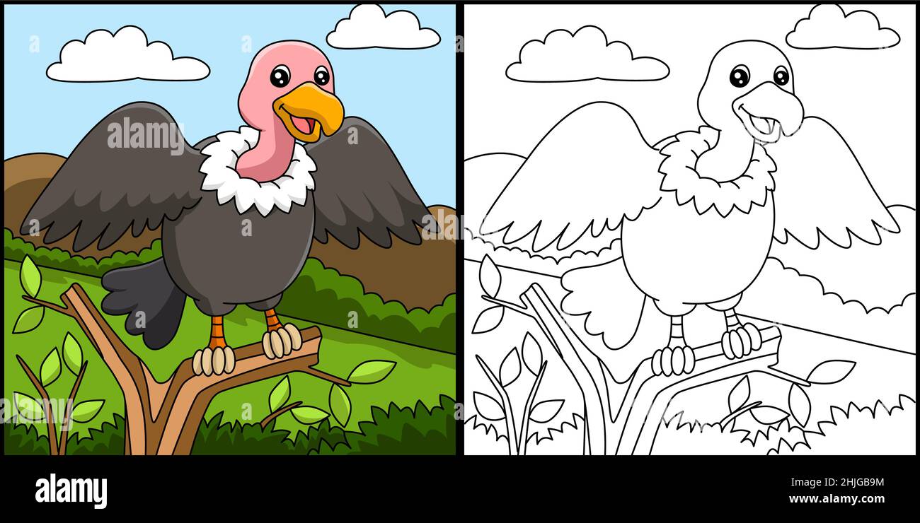 Vulture Coloring Page Vector Illustration Stock Vector Image & Art - Alamy