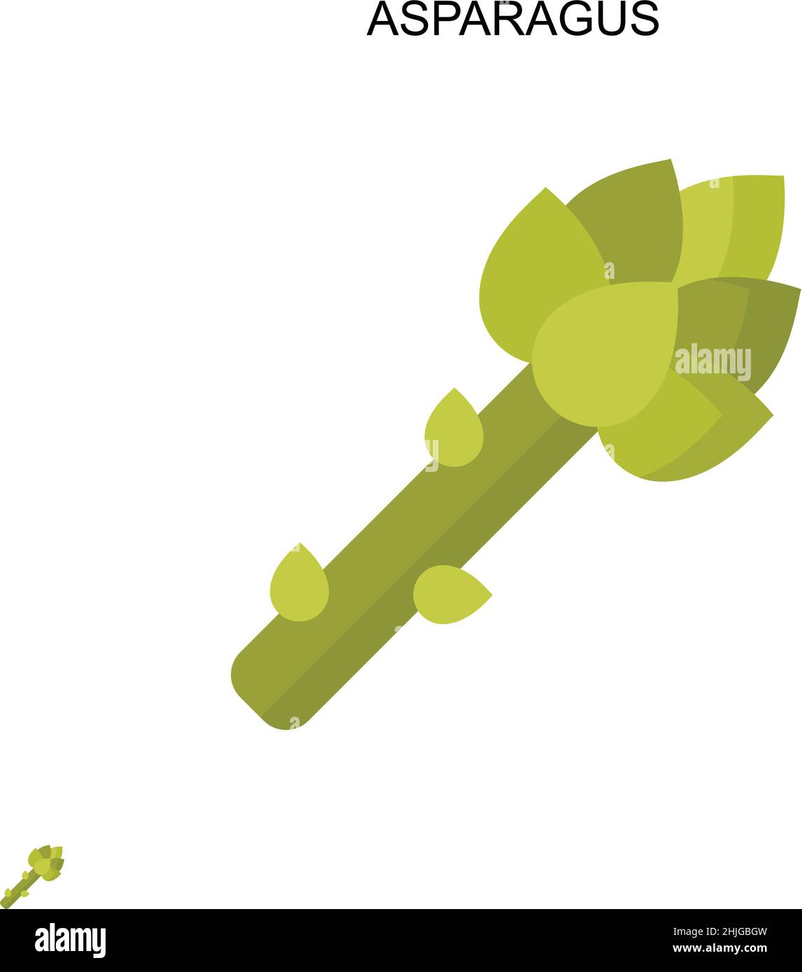 Asparagus Simple vector icon. Illustration symbol design template for ...