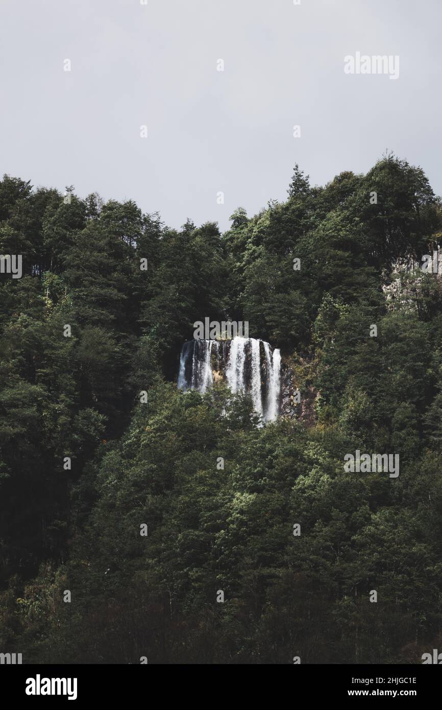 A low angle shot of a waterfall on the mountain surrounded by a trees ...