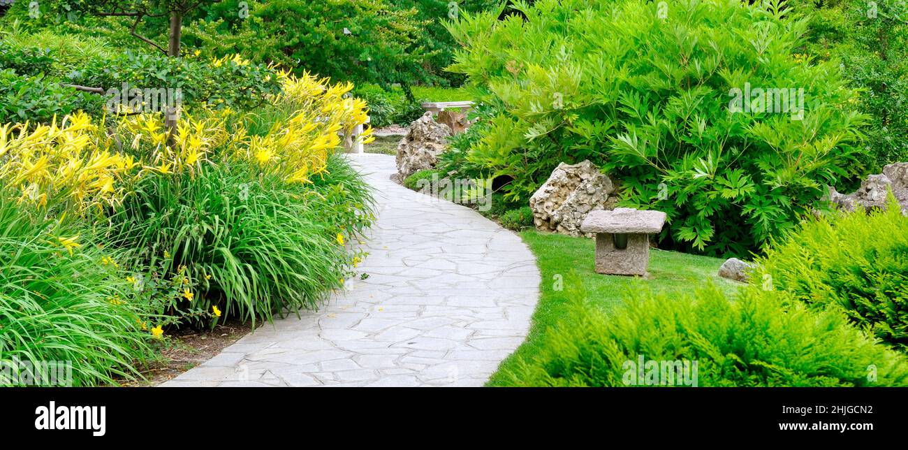 Summer park with paths and yellow flowers . A bright sunny day. Wide ...