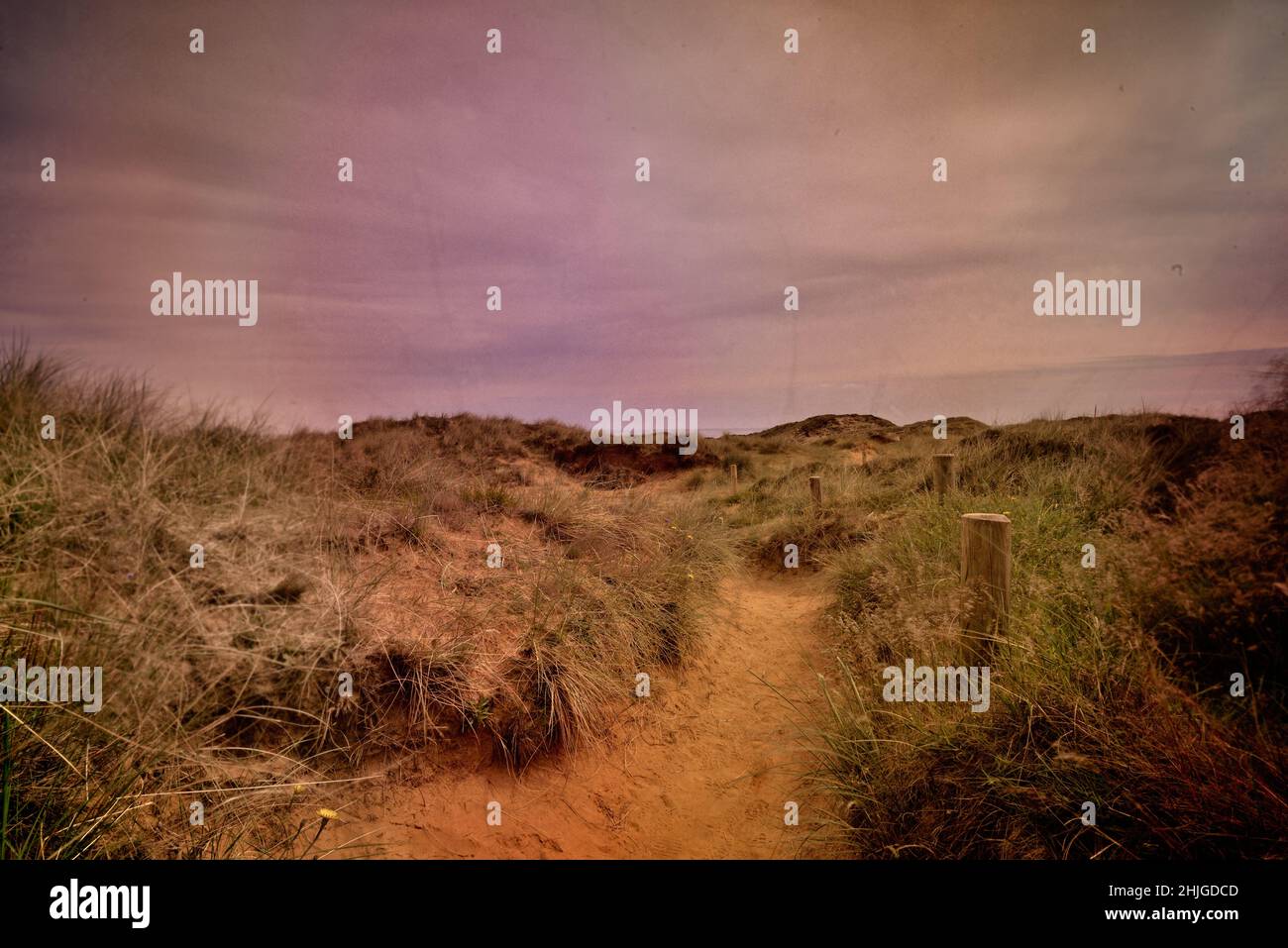 Retro style old photo of sandy pathway with grass reeds at beach sand ...