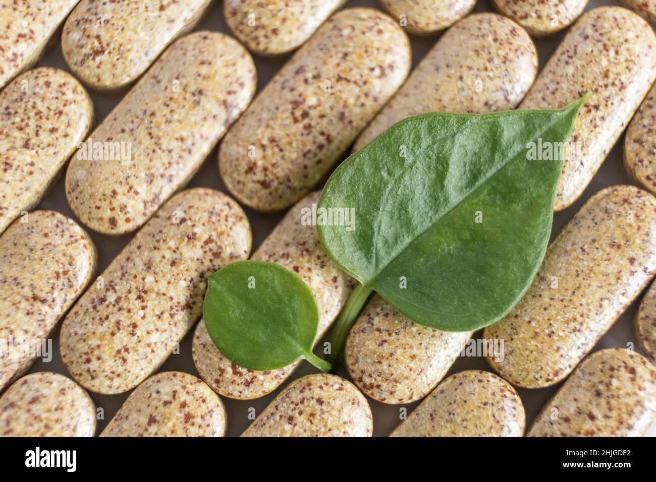 Pattern of organic herbal pills and Fresh leafs for healthy eating in ...