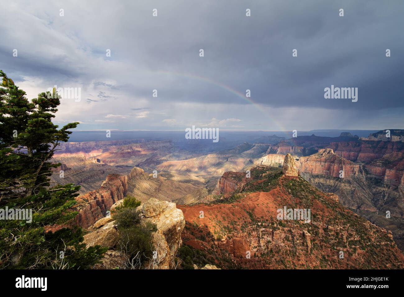 Grand Canyon National Park, North Rim Stock Photo - Alamy