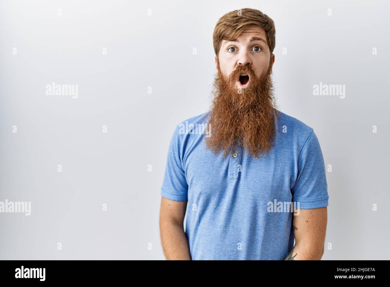 Caucasian man with long beard standing over isolated background scared ...