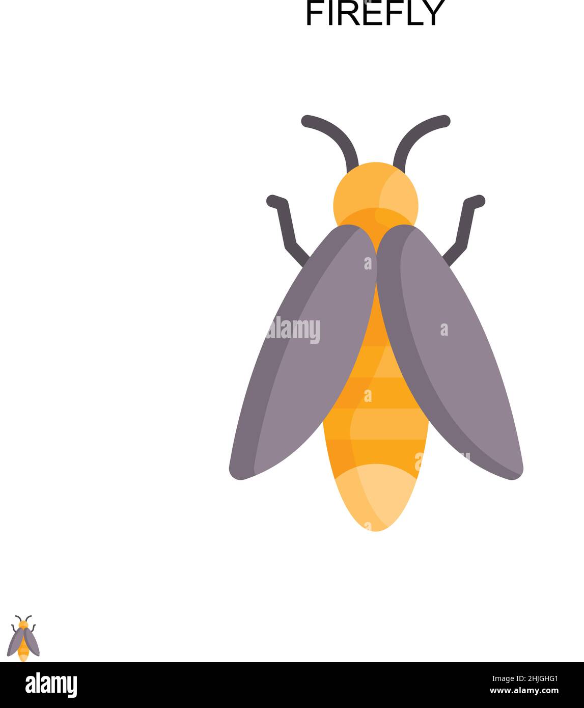 Firefly Insect Flying Drawing