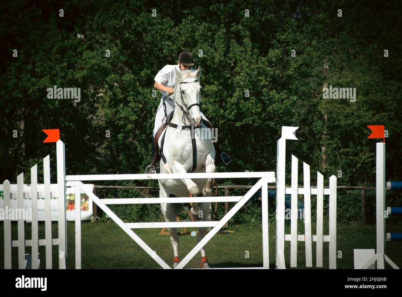 a rider jumps over an obstacle with his horse Stock Photo - Alamy