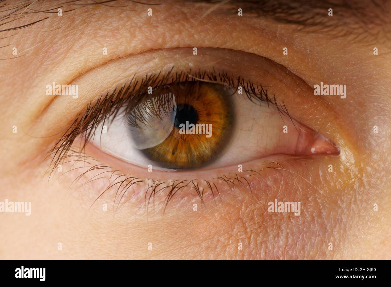 Macro photo of young man brown eye. Human eye closeup Stock Photo - Alamy