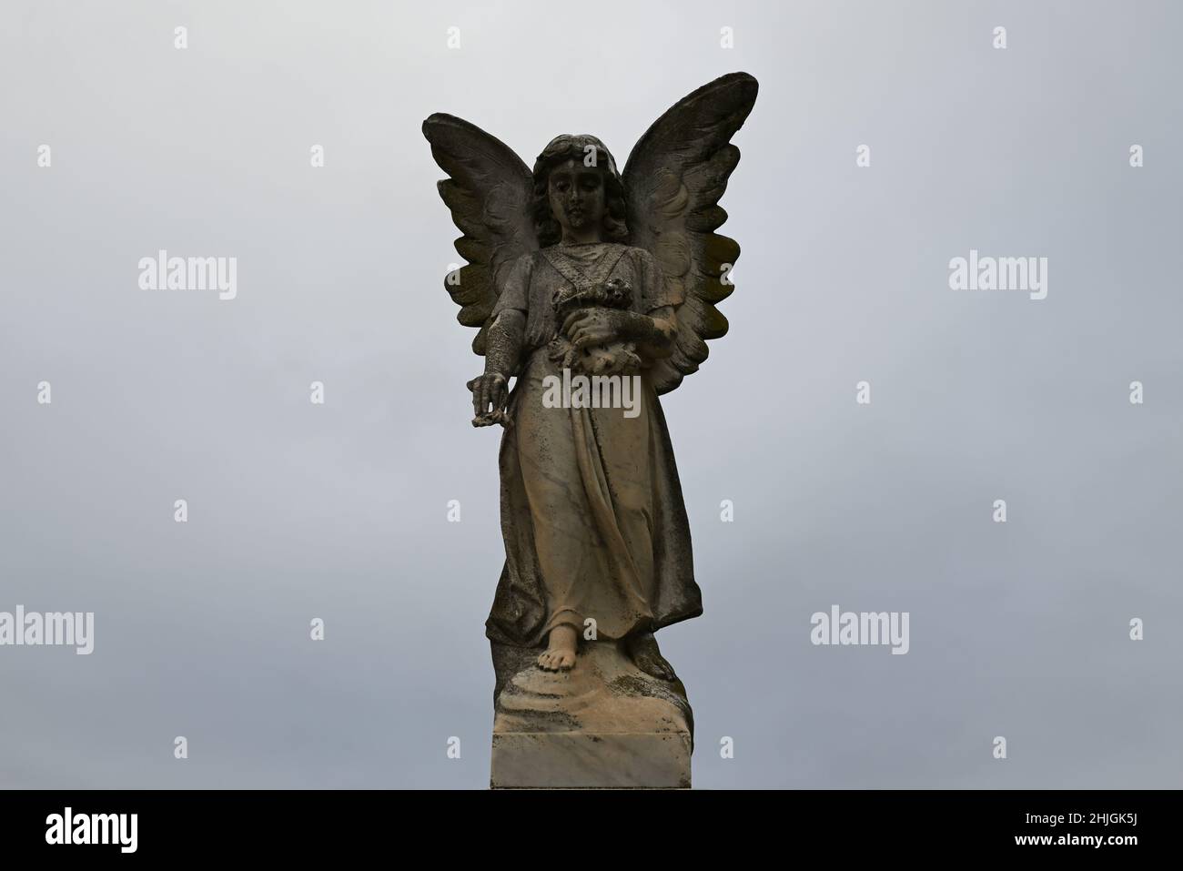 Angel Statue Dropping