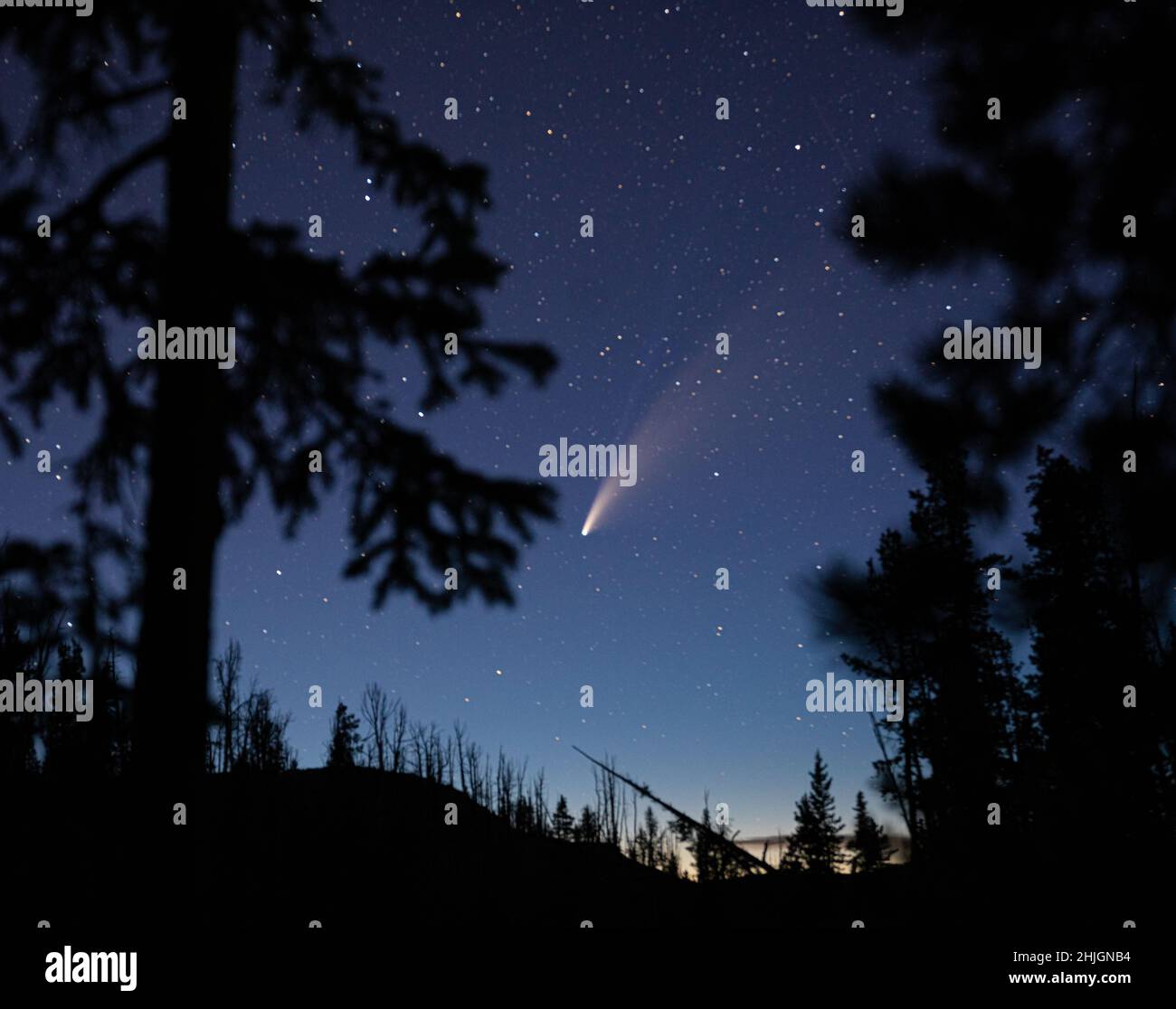 NEOWISE Comet in the summer of 2020 Stock Photo - Alamy