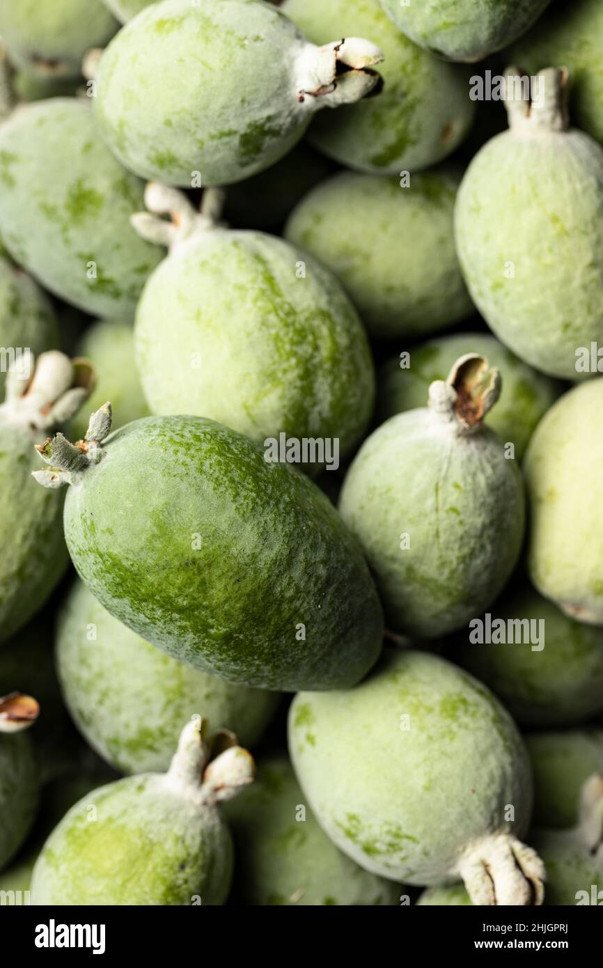A macro view of freshly picked feijoa fruit Stock Photo - Alamy