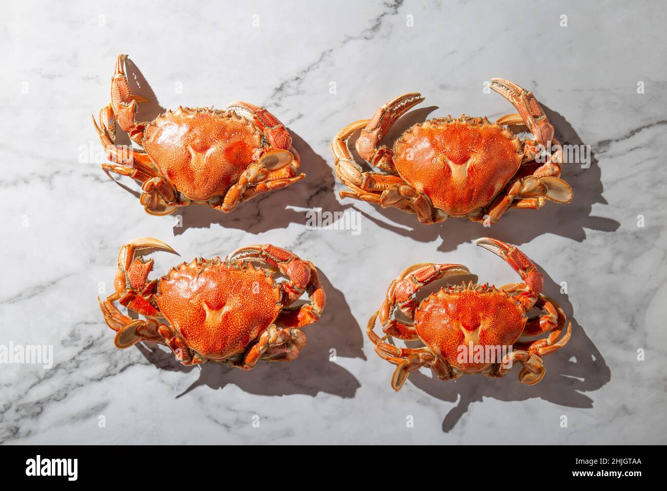 Cooked crabs on white marbled background. Top view Stock Photo - Alamy
