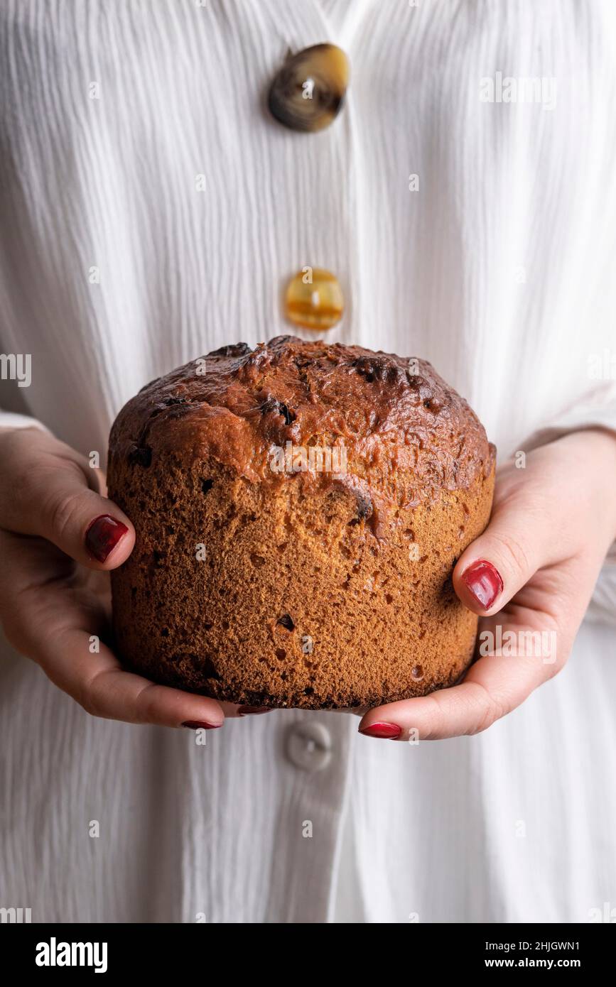 Hand holding a small panettone Stock Photo - Alamy